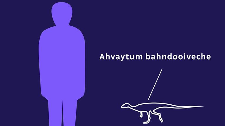 Ensimmäiset dinosaurukset olivat kanan kokoisia rääpäleitä – ja elivät ...