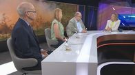 Iida Tikka | Yle.fi | Uutiset, urheilu, ilmiöt