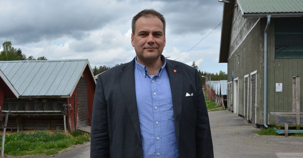 Saga Furs ställer in pälsauktionen i mars på grund av coronaviruset ...