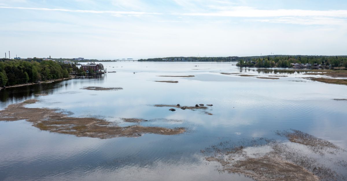 Kotkassa, Haminassa ja Virolahdella ei saa paikoin kalastaa kuhan ...