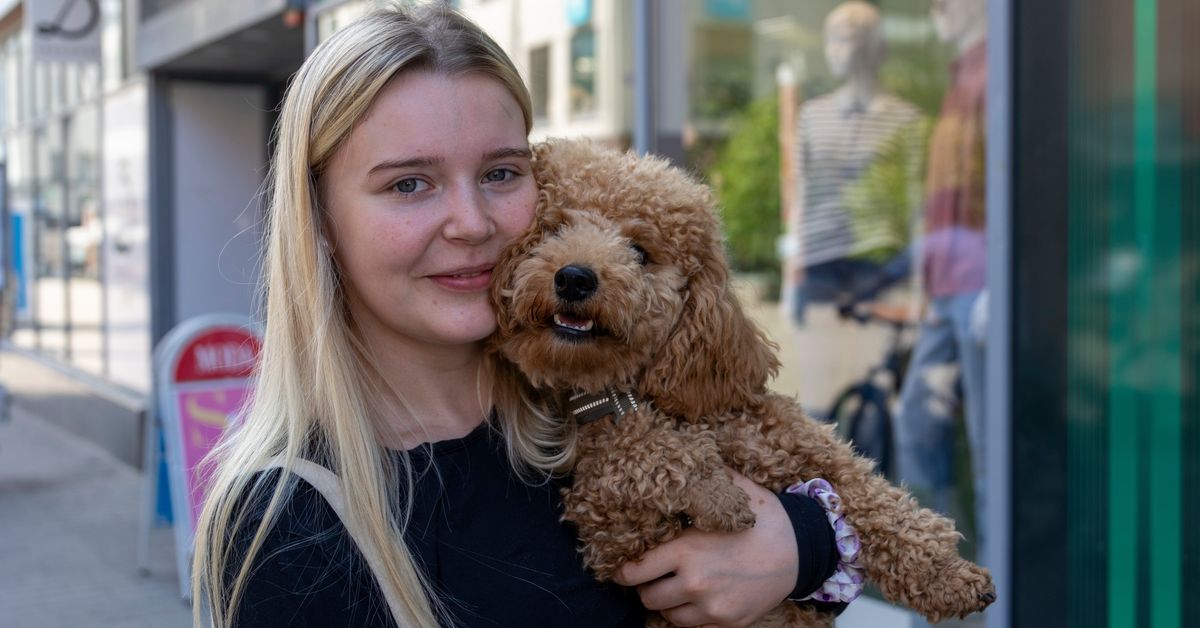 Lapissa tehtiin uusi ennätys hellepäivissä – Neea Outinen: ”Olen ...