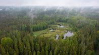 Finland tops European start-up funding table | Yle News | Yle