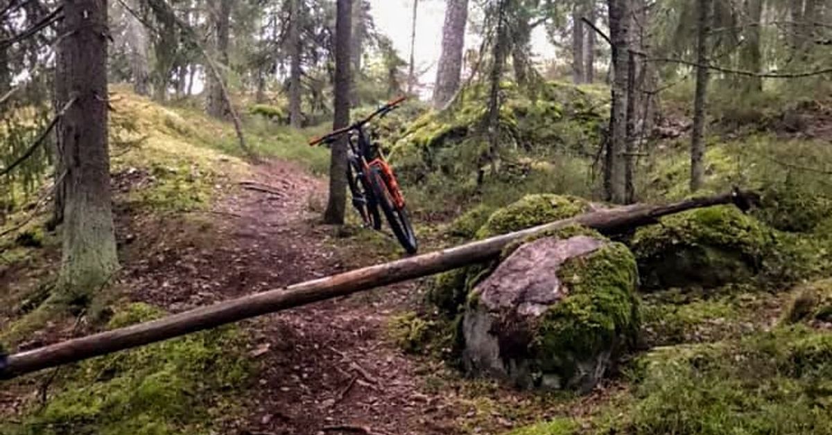 Cyklister i fara på Tornberget i Borgå - stockar hade placerats på ...
